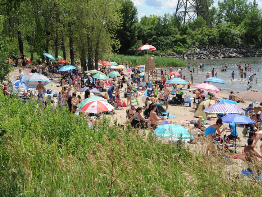 TVRS | Actualités | La plage de l'Ile-Charron fermée cet été à Longueuil
